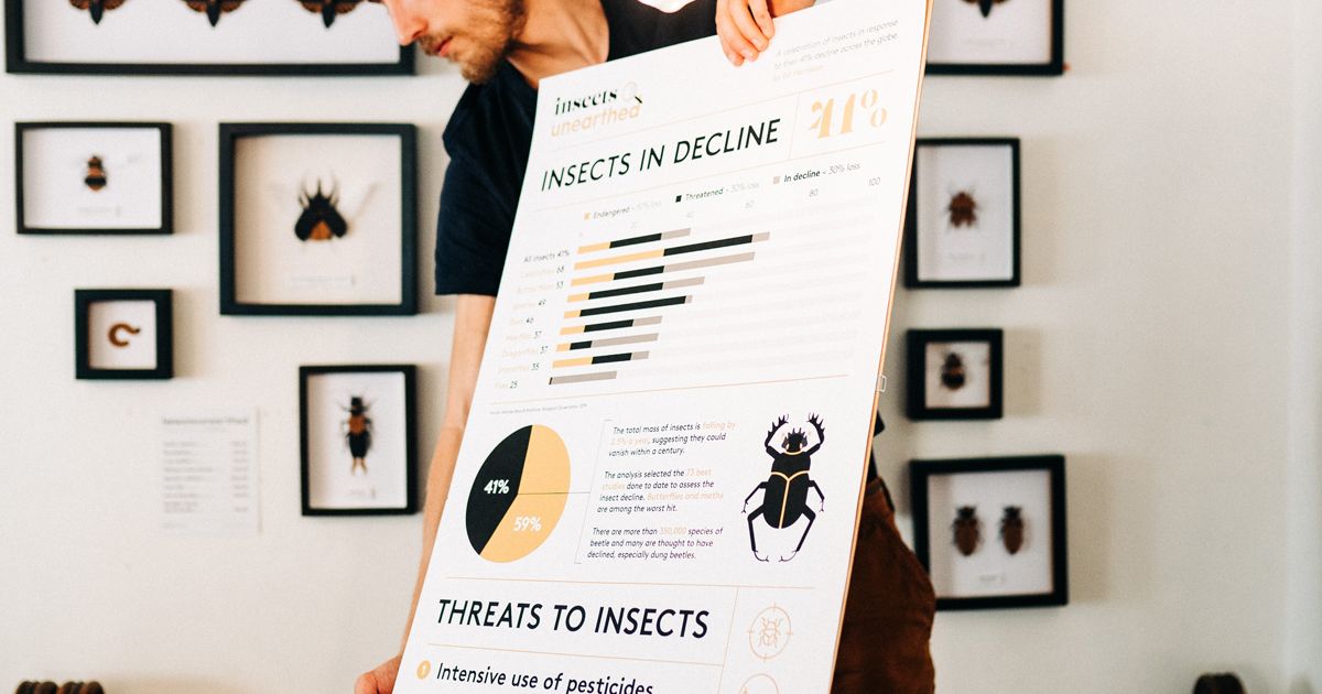 About — Ed Harrison: Design & Illustration