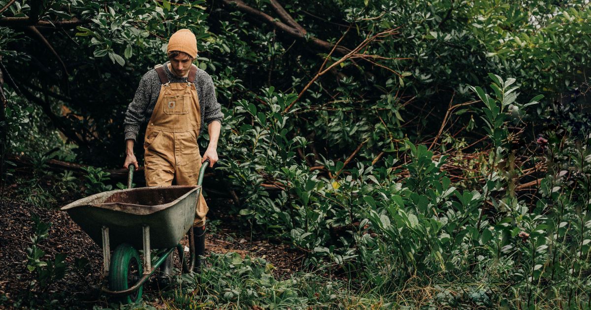 Gardening, biodiversity and creativity — Ed Harrison: Design & Illustration