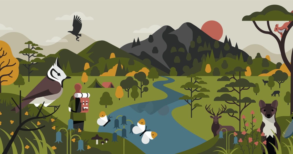 New work with Scotland: The Big Picture — Ed Harrison: Design ...