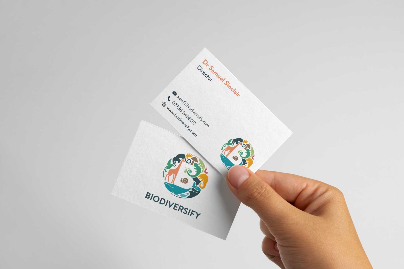 Ed Harrison: Design & Illustration