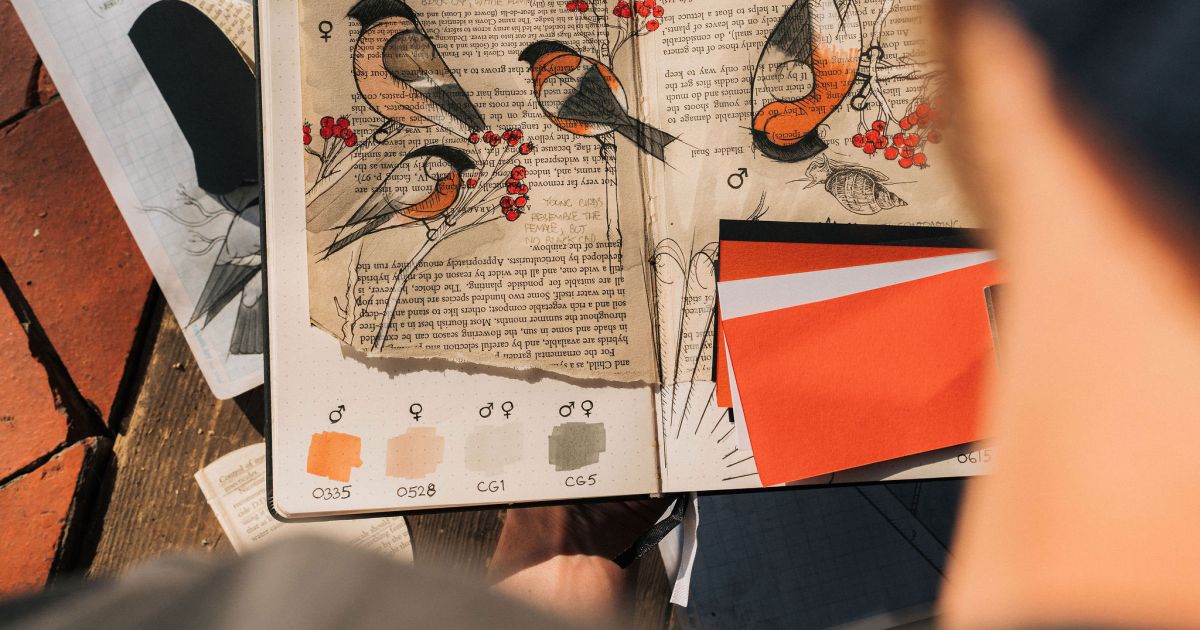 Bird studies — Ed Harrison: Design & Illustration