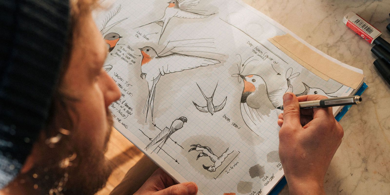 Ed Harrison: Design & Illustration