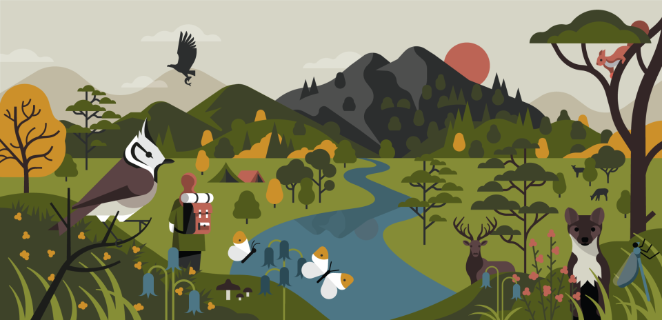 Illustration gallery — Ed Harrison: Design & Illustration