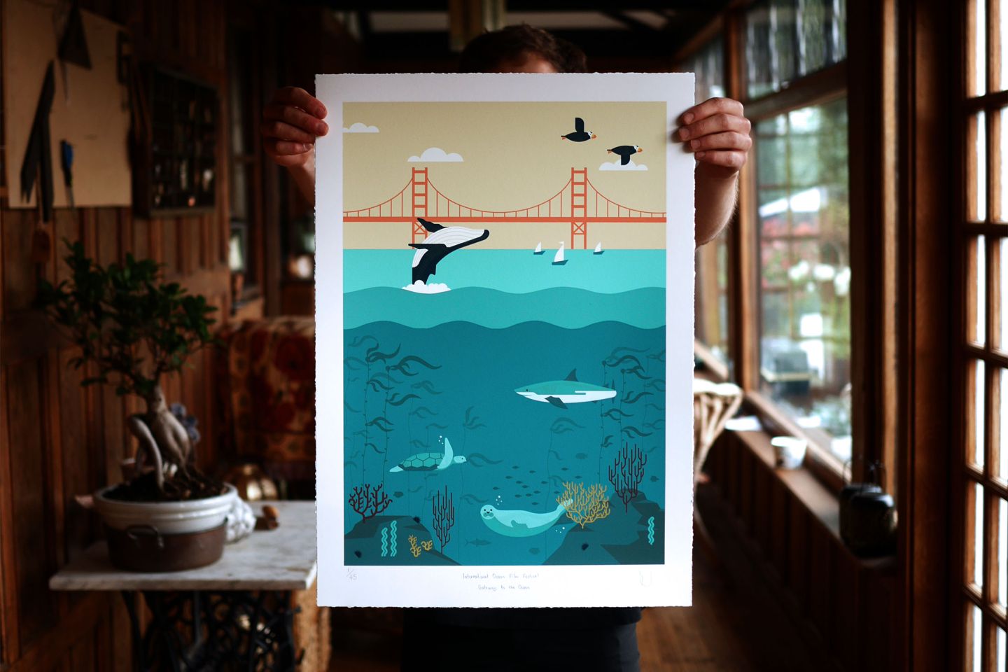 Illustration gallery — Ed Harrison: Design & Illustration