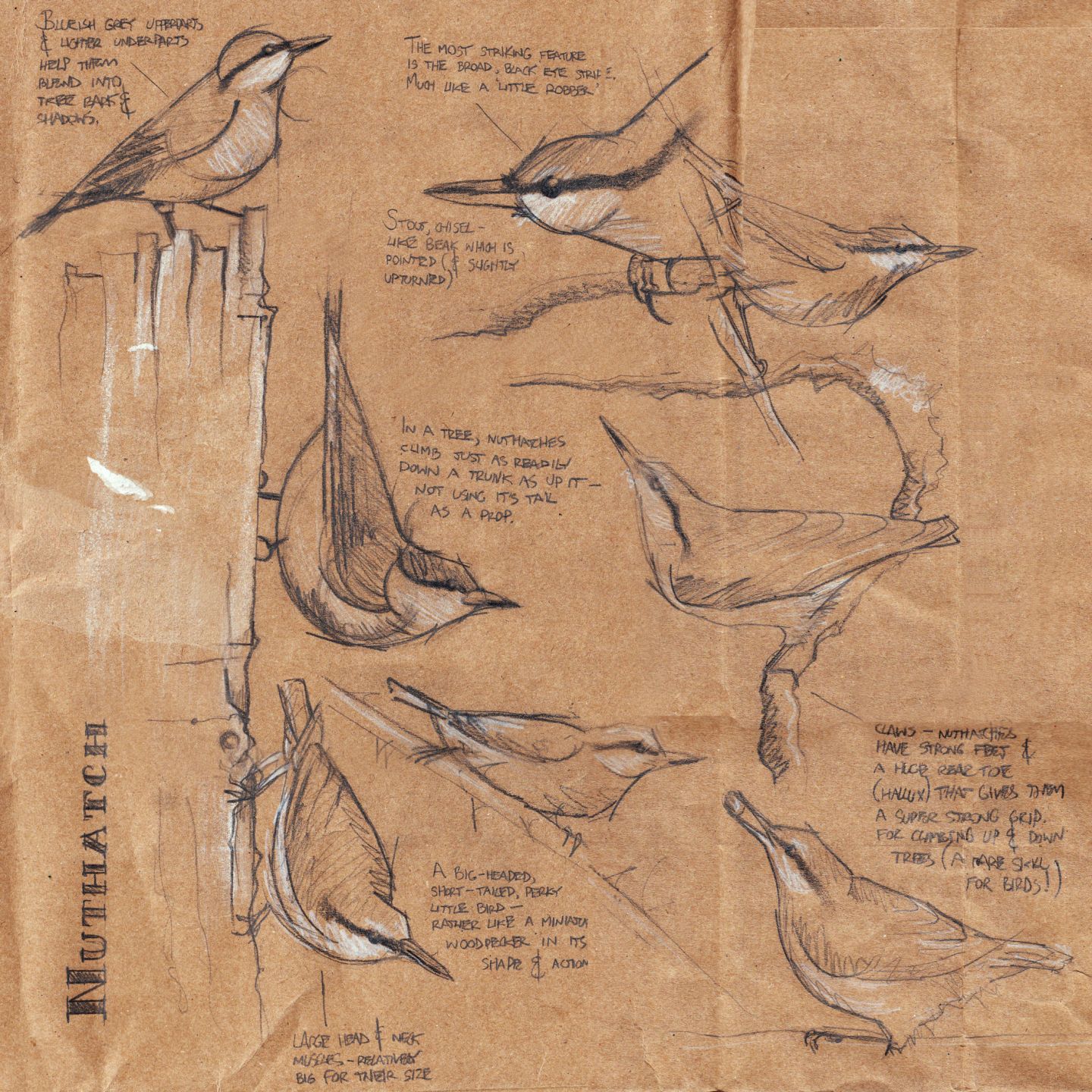 Illustration gallery — Ed Harrison: Design & Illustration