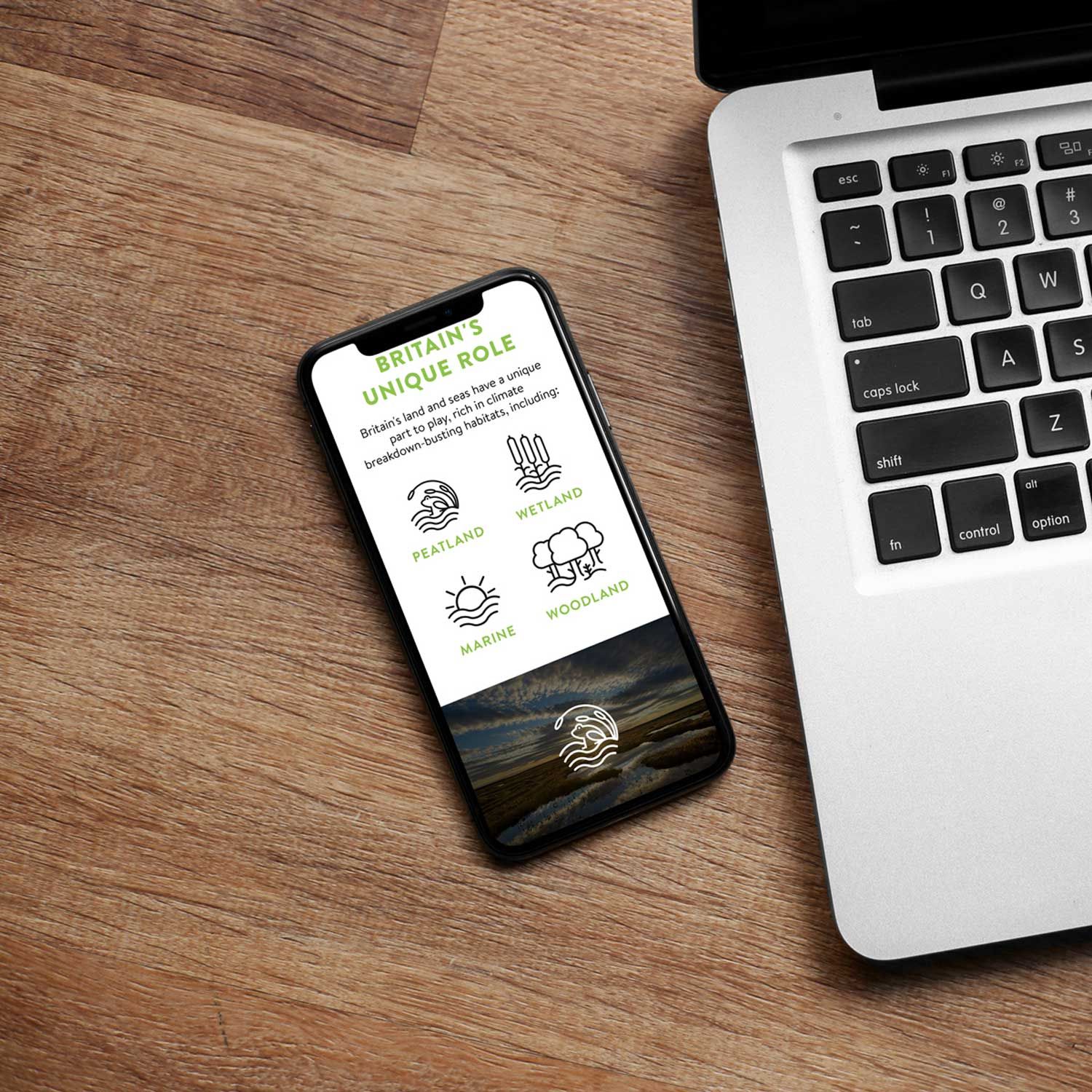 Rewilding Britain — Ed Harrison: Design & Illustration