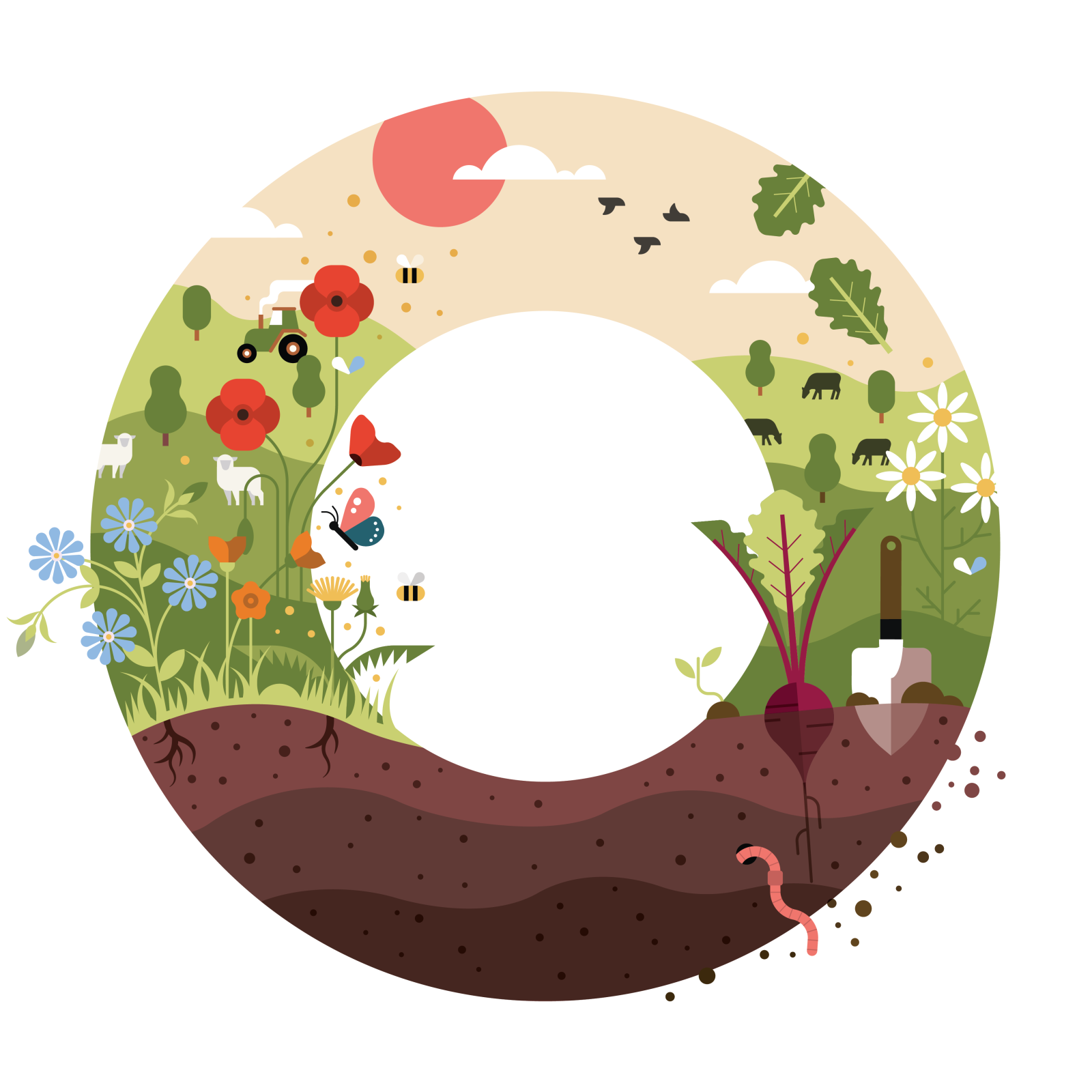 Ed Harrison: Design & Illustration