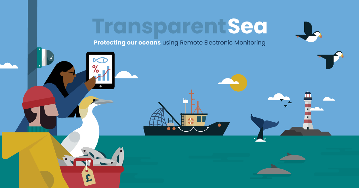 Transparent Sea — Ed Harrison: Design & Illustration