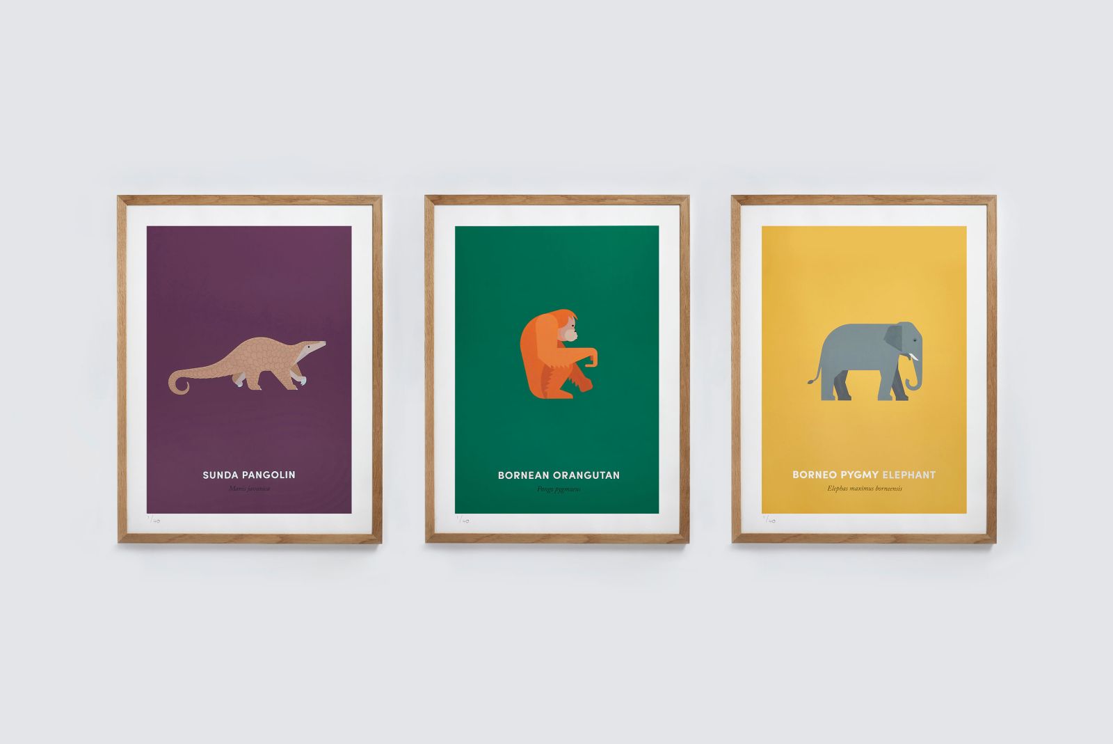 Ed Harrison: Design & Illustration