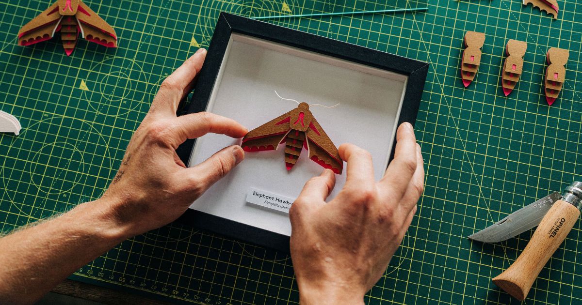 Vegan Entomology — Ed Harrison: Design & Illustration