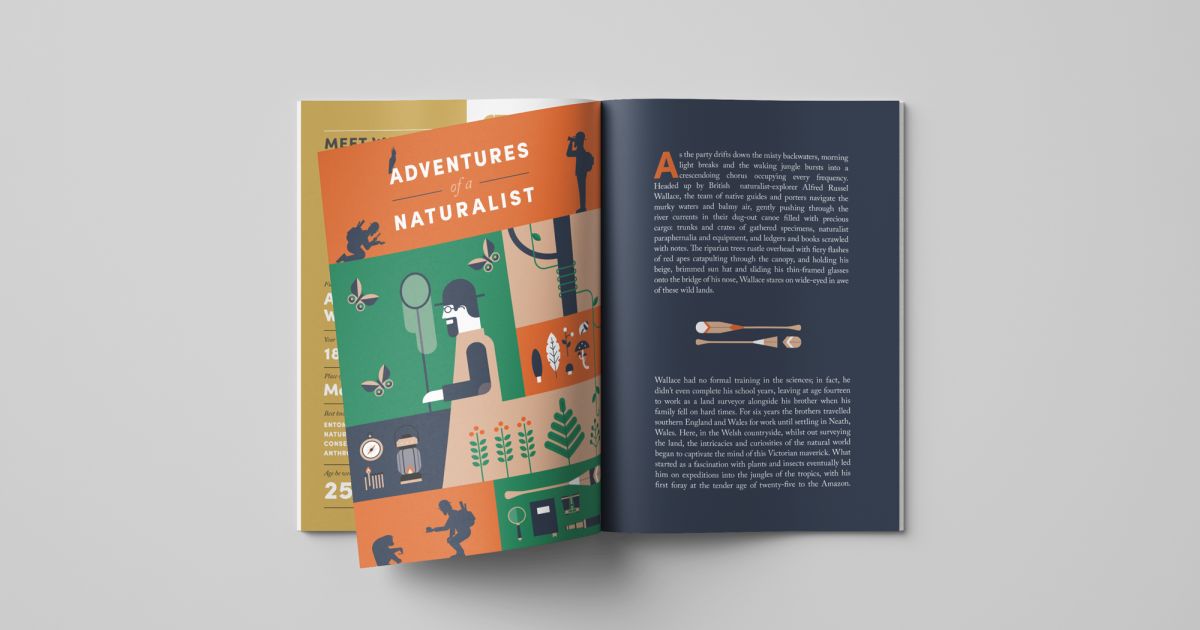 Wallace — Ed Harrison: Design & Illustration