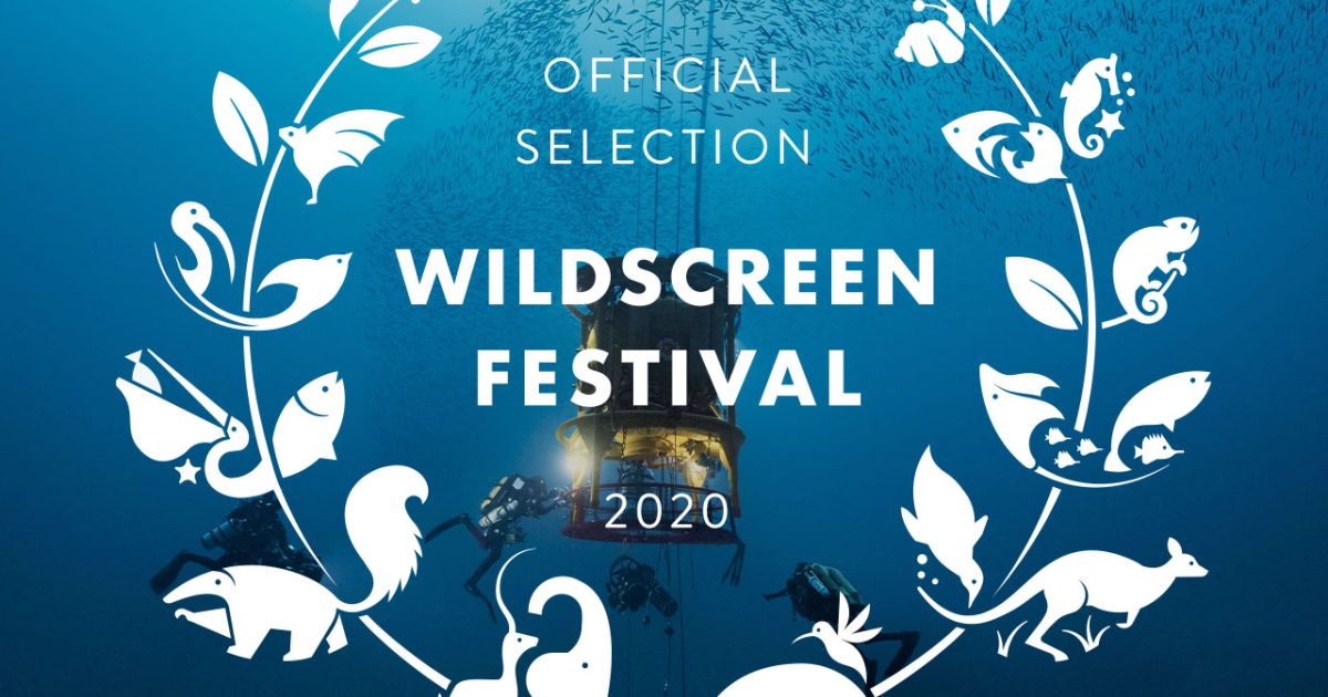 Wildscreen Awards — Ed Harrison: Design & Illustration