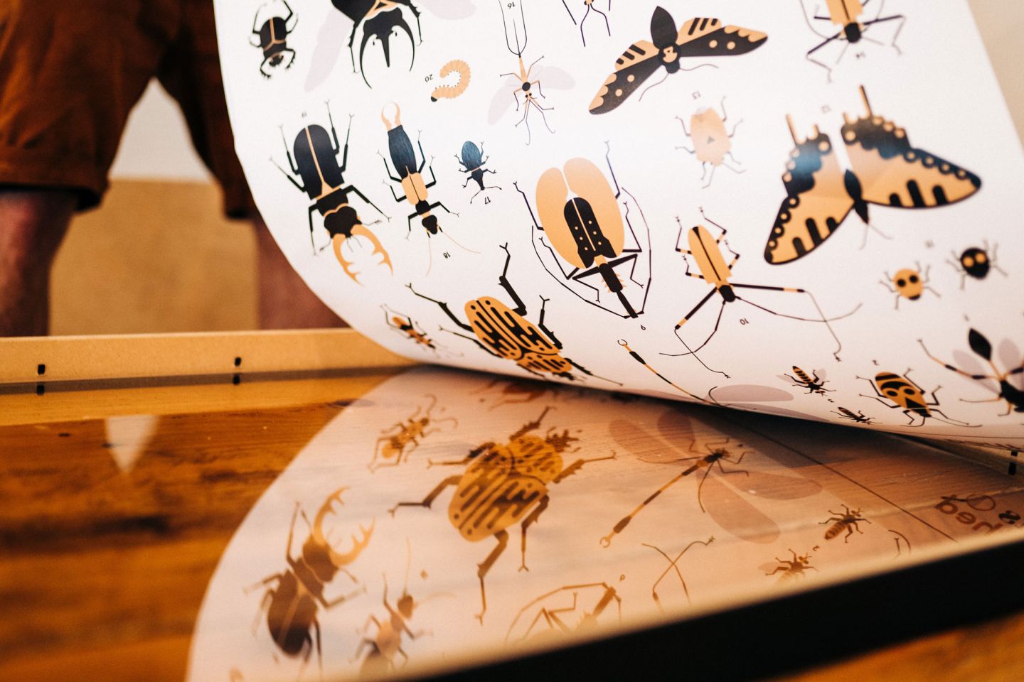 About — Ed Harrison: Design & Illustration